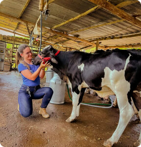 Atividades - CACAL | Cooperativa Agrária Mista de Castelo